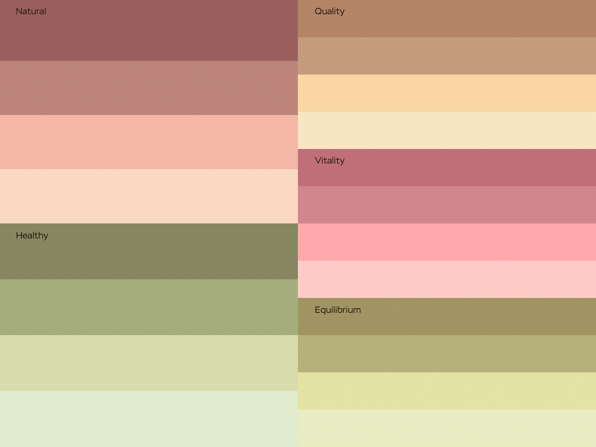 Oasis-NewDesignLab纽带品牌咨询与设计